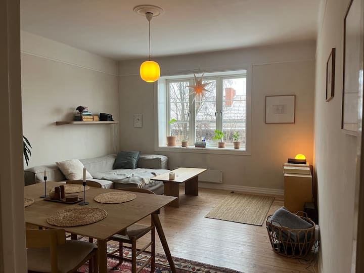 Apartement In St. Hanshaugen - Oslo