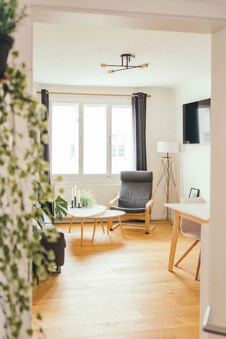 Renovated, Garage, Near Schönbrunn/subway - Vienna