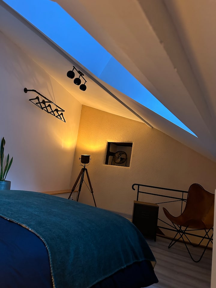 Dupplex, Centre Ville - Blois