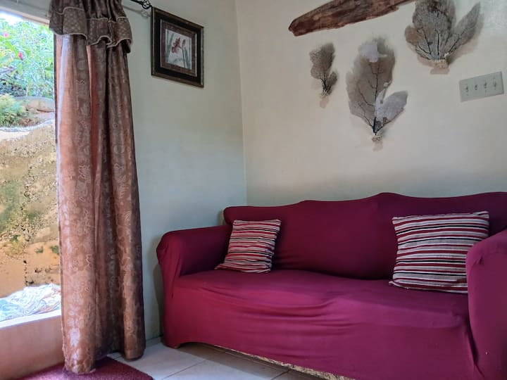 Cozy Nature Escape Near Castleton Gardens - Jamaica