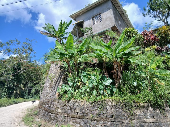 Cozy Nature Escape Near Castleton Gardens - Jamaica