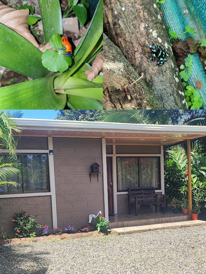 The Bees House - La Fortuna (Costa Rica)