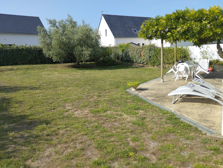 Turritelle - Pénestin