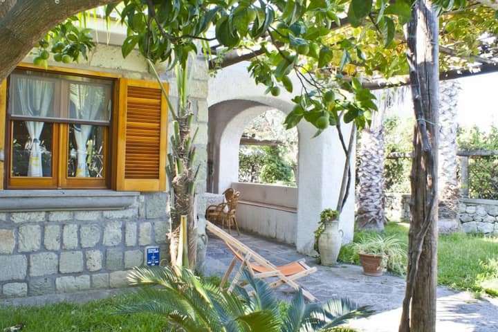 Appartamento - Forio
