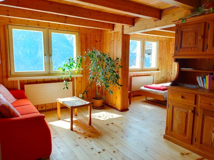 Cozy Mountain Flat - Faido