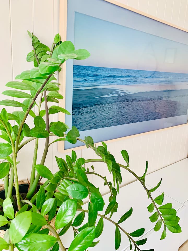 Sunshine Coast Beach Cottage - Bribie Island