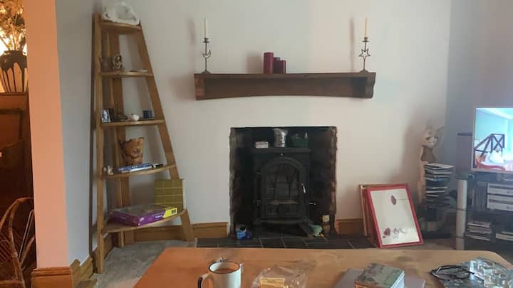 A Tranquil Attic Retreat In The Heart Of Devon - Barnstaple