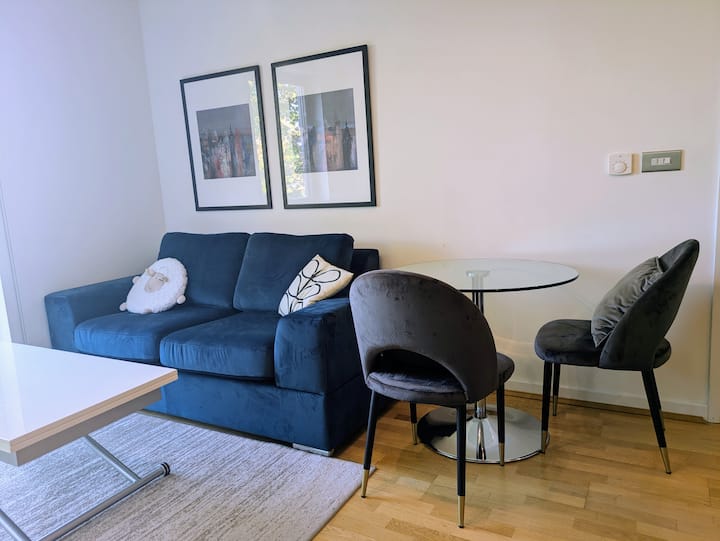 Modern Flat Near Tower Bridge - Newcastle University London