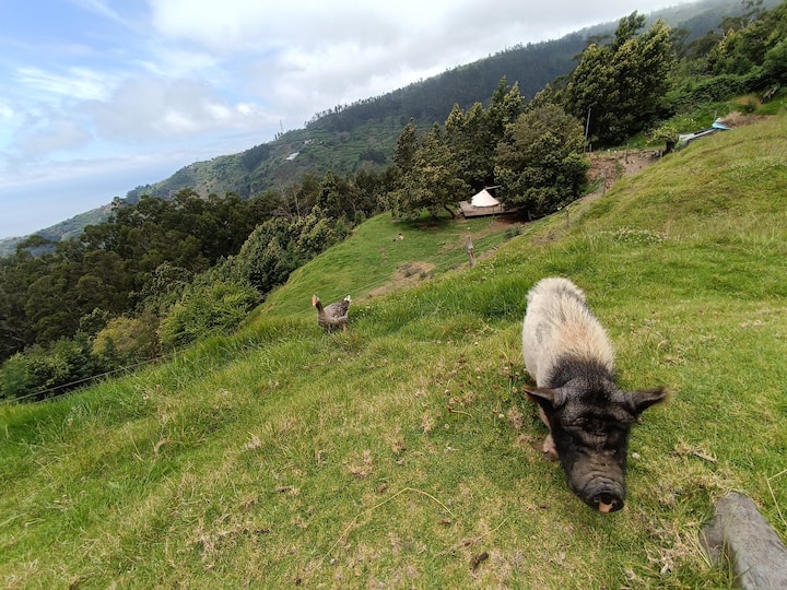 Arambha Ecovillage Farmstay 3 - Madère