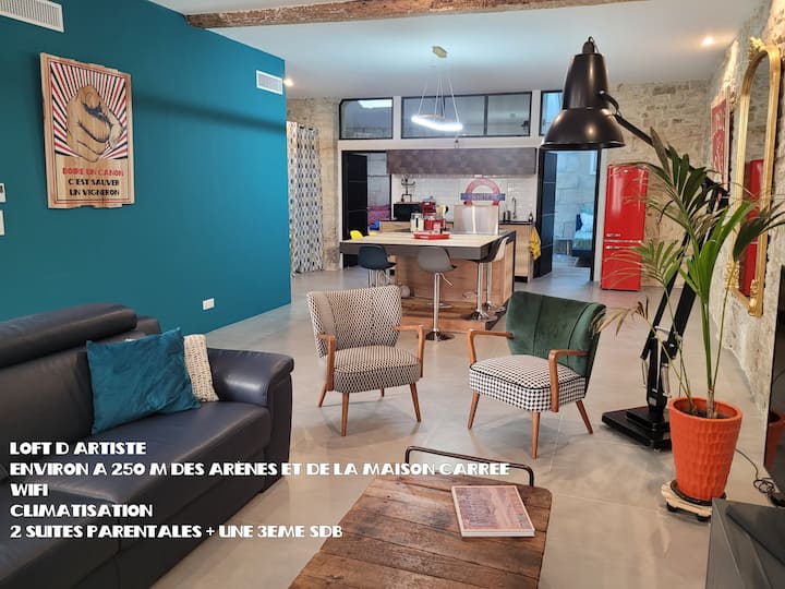 L'atypique Des Arènes, Loft D'artiste, Hypercentre - Nîmes