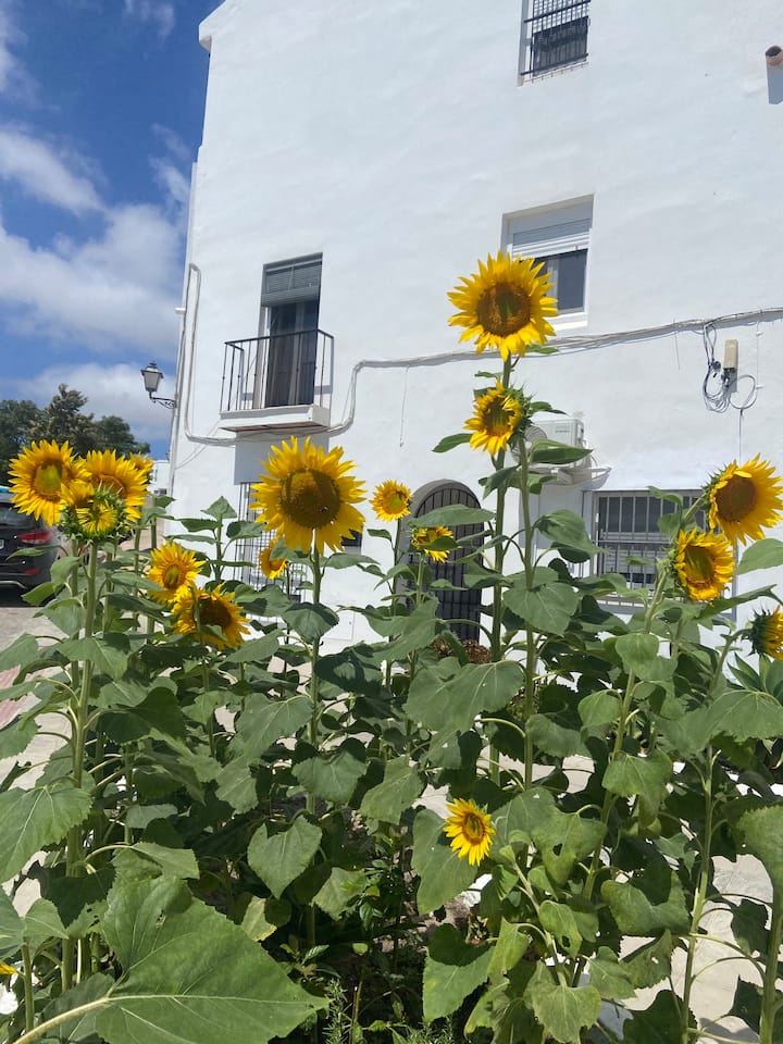 Casa Retinto - Vejer de la Frontera