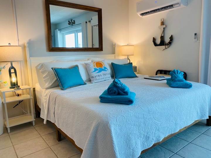 Mares Felizes—oceanview Studio Steps To The Beach! - New Smyrna Beach, FL