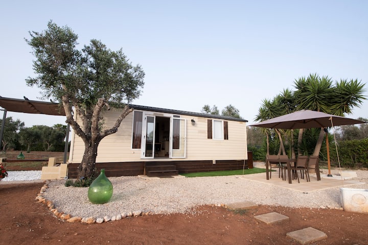 Tiny House Su Ruote Tra Gli Ulivi - Relax & Natura - Porto Cesareo