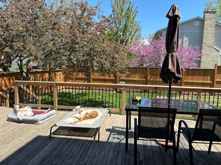 Cali-king Sized Bed, Central And Walkable - Goderich