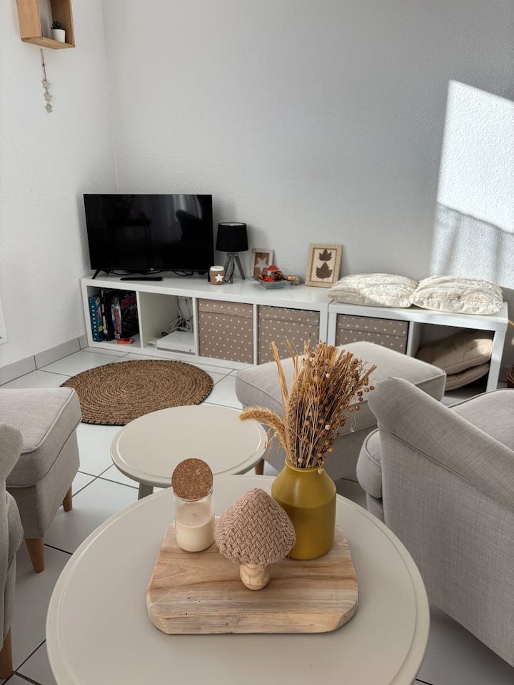 Appart Cosy 3 ÉToiles, Balcon, Wifi Et Parking - Chenonceaux