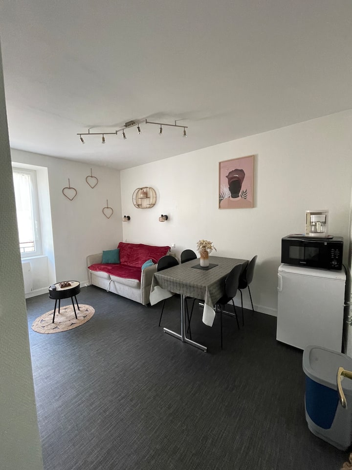 Petit Appartement Cosy Wifi Parking - Chambon-sur-Lac
