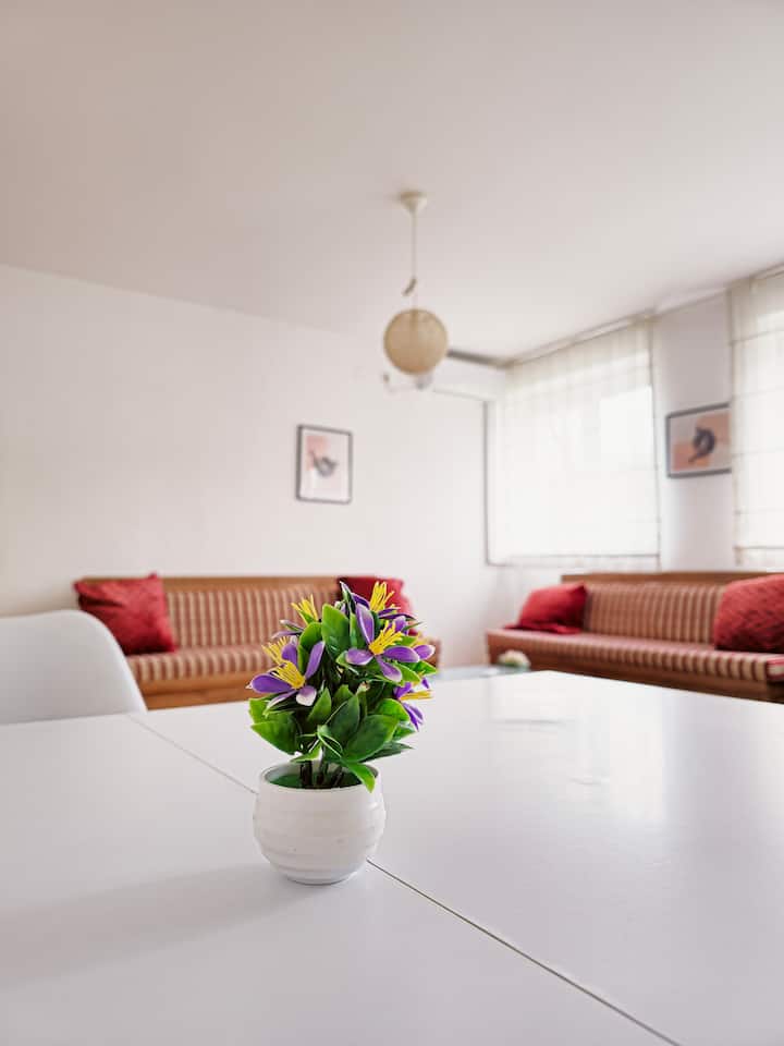 Spacious And Beautiful Apartment - Sarajevo