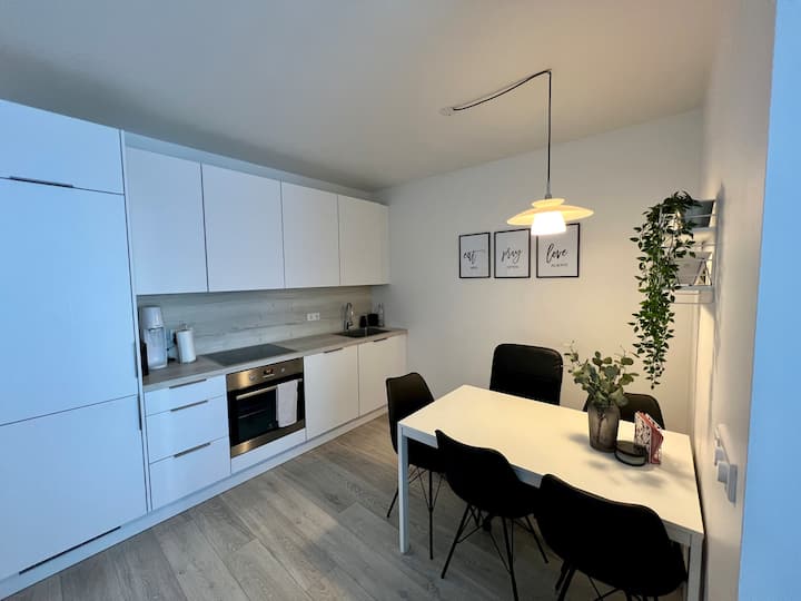 Studio Apartment In Reykjavik - Islande