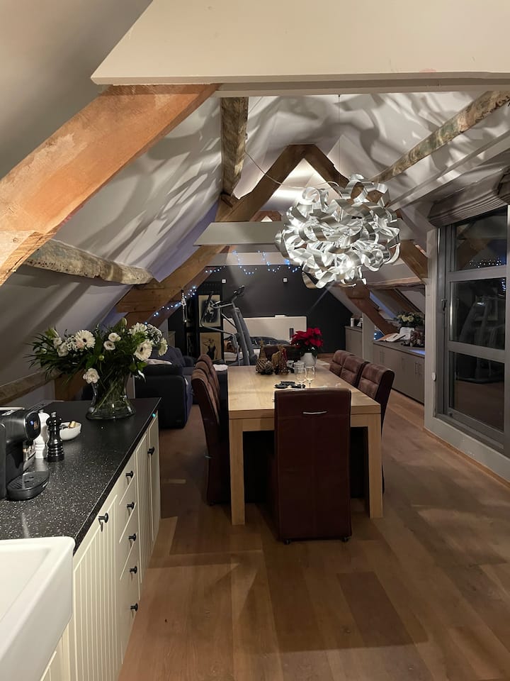Loft Avec Vue Sur Les Champs, Terrasse Et Cuisine - Lokeren
