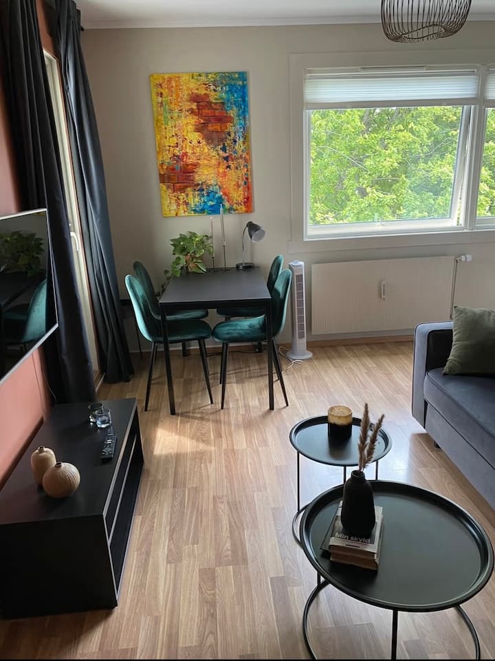 Fin Og Sentral Leilighet - Oslo