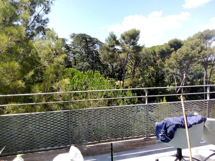 Appartement Très Beau Lumineux - Montpellier