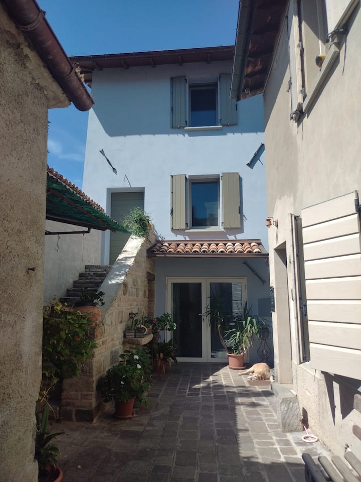 Casina Borgo Castello - Forlì-Cesena
