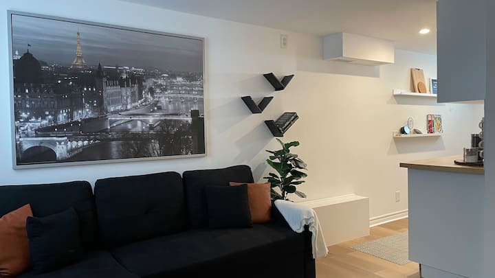 Basement Apartment In Barrie - Barrie