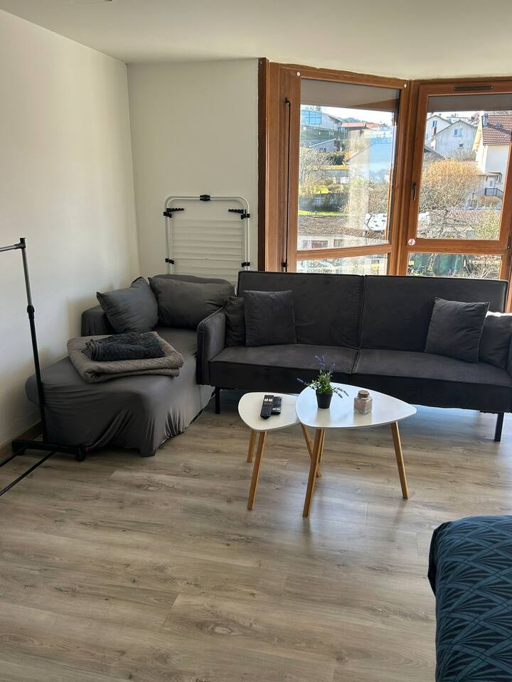 Studio Cosy Proche ÉPinal - Parking - Café - Wifi - Épinal
