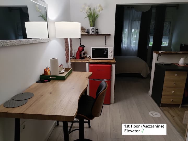 Rubica - "Green Window" Studio Apartment - Rijeka