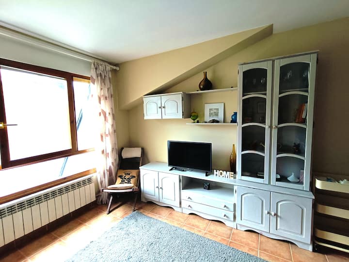 Apartamento Con Encanto - Jaca