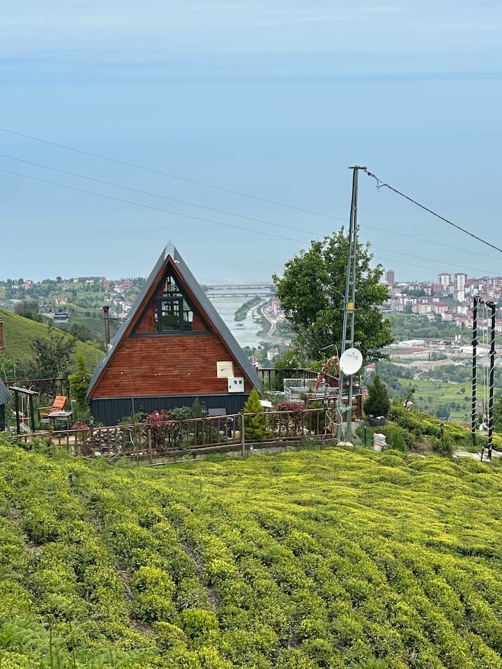 Yamaçdere Deluxe  Bungalow - Ardeşen
