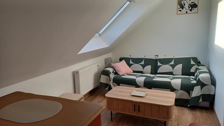Appartement T2 ( 1 à 5 Personnes ) - Mayenne