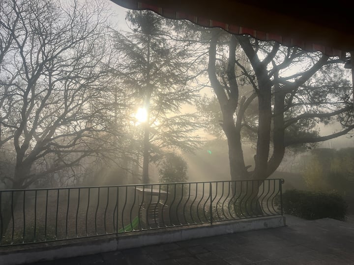 Maison Au Calme · 2000 M² Clos · 5 Min Basilique - Saint-Maximin-la-Sainte-Baume