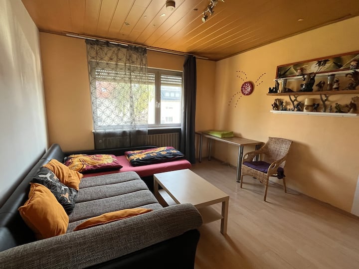 A Spacious & Comfortable Room 2 - Darmstadt