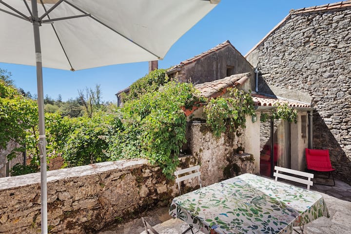 Maison Larzac Cevennes Grand Gite - La Couvertoirade