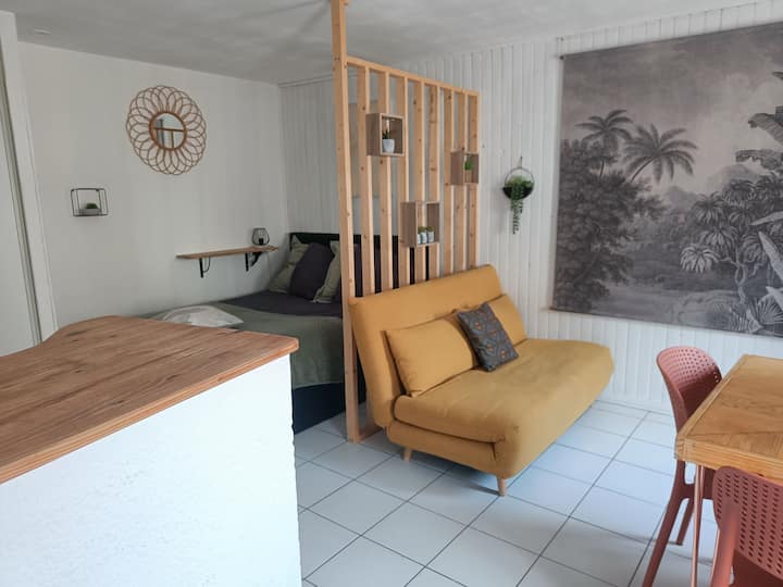 Studio Hyper Centre De Narbonne - Narbonne