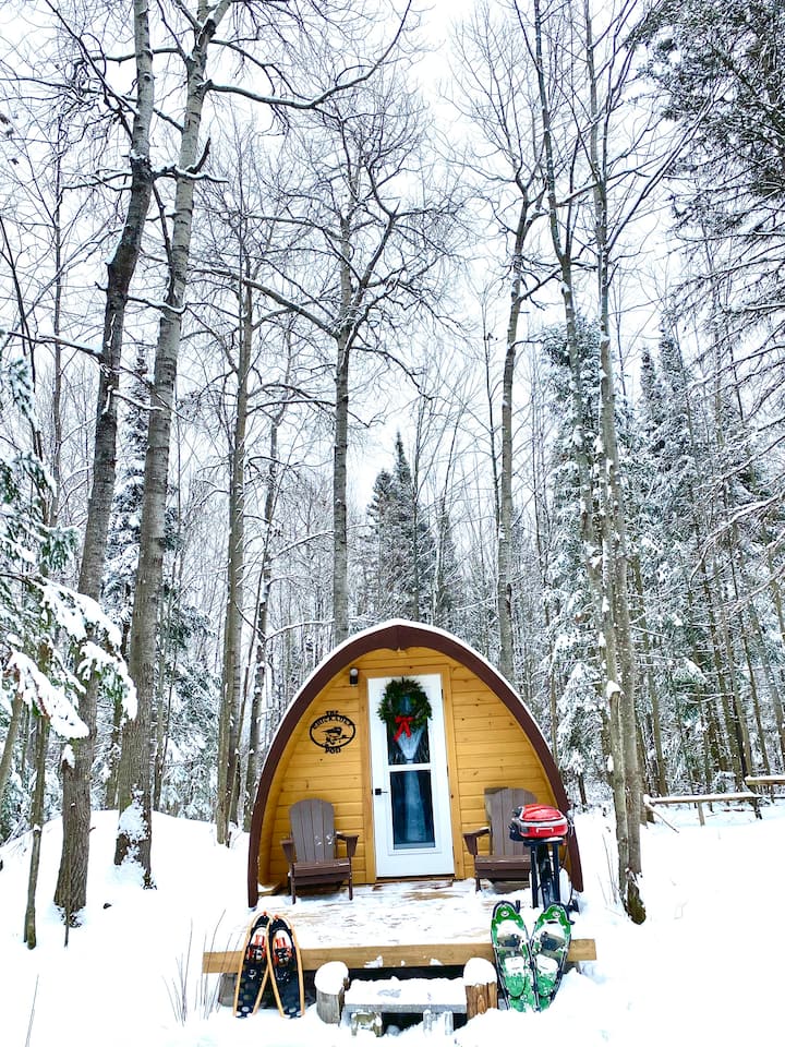 Raven In The Woods - Ontario 60