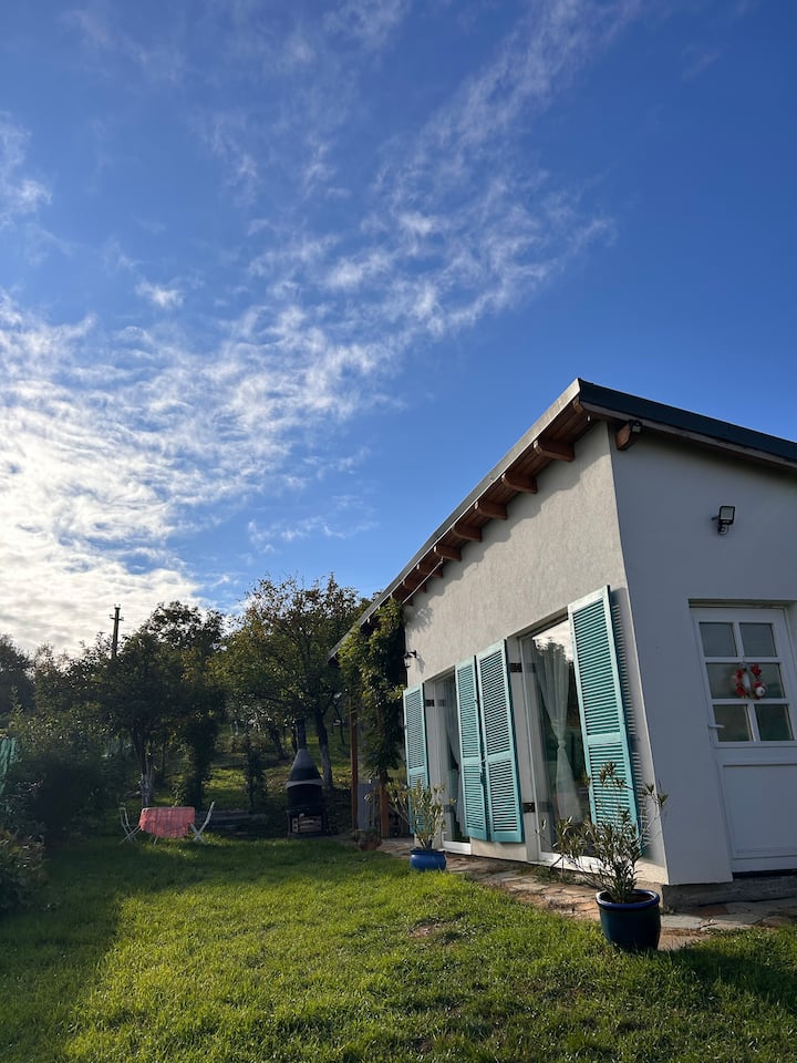 Backyard Cottage - Sebeș