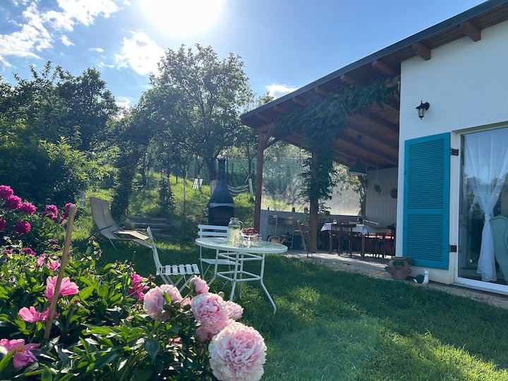 Backyard Cottage - Sebeș