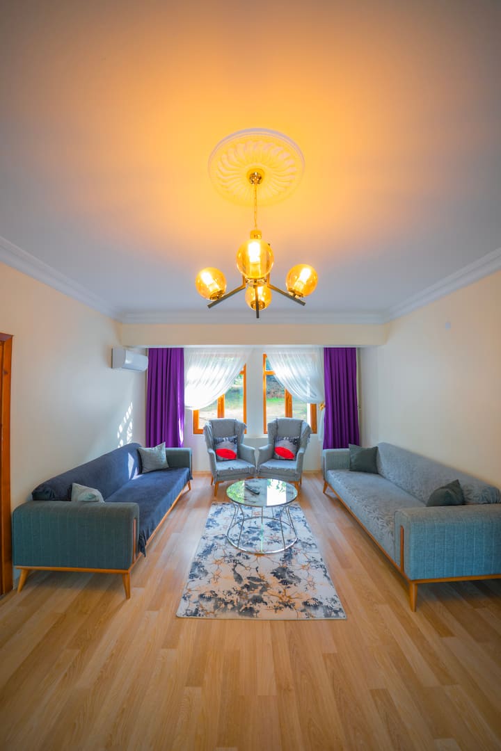 Sapanca Bendamil Villa (Sıcak Havuz)14+1 - Başiskele