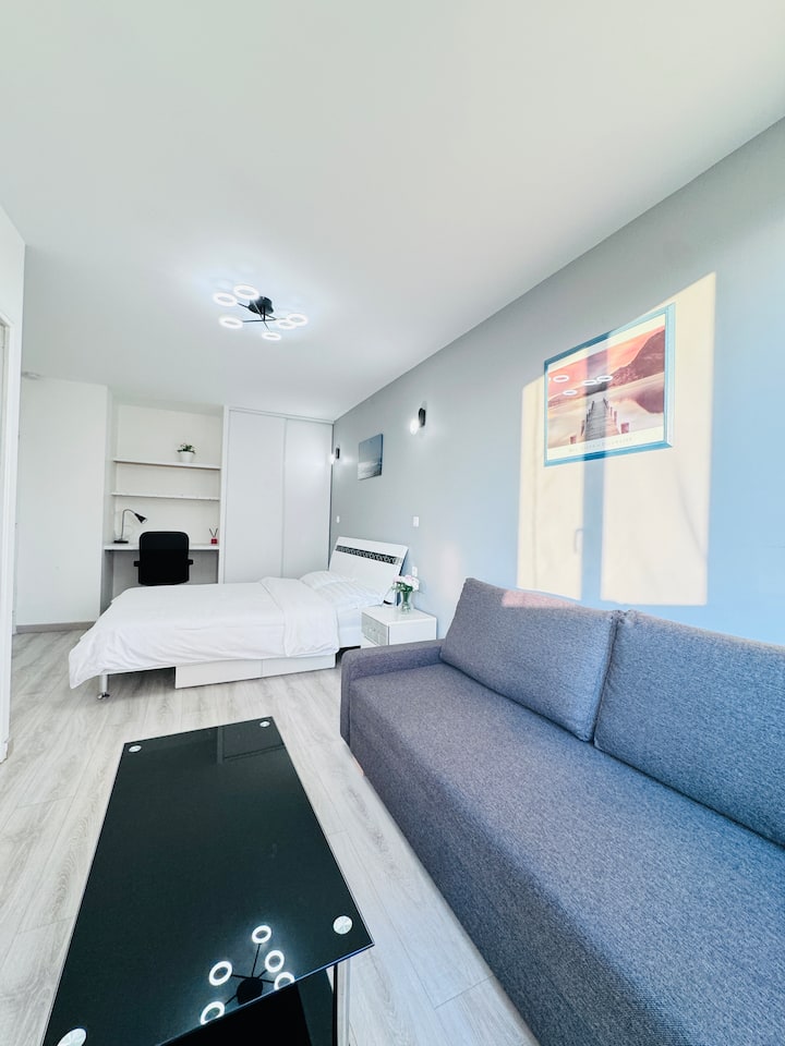 2 Studios Dans La Même Appartement - Paris