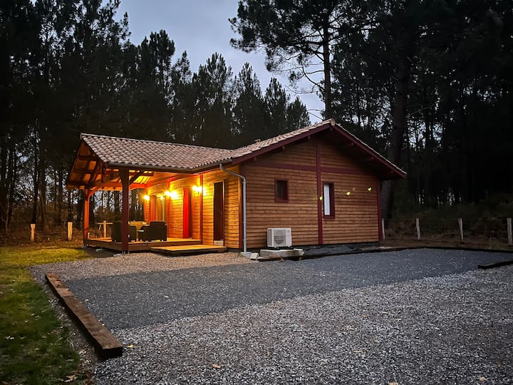Maison Neuve 3* Les Logis Du Lac (Vélos Inclus) - Sanguinet