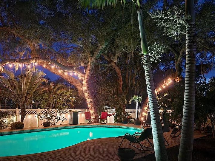 Oasis In The Sun! 5 Minutes To Sunset Beach - Palm Harbor, FL