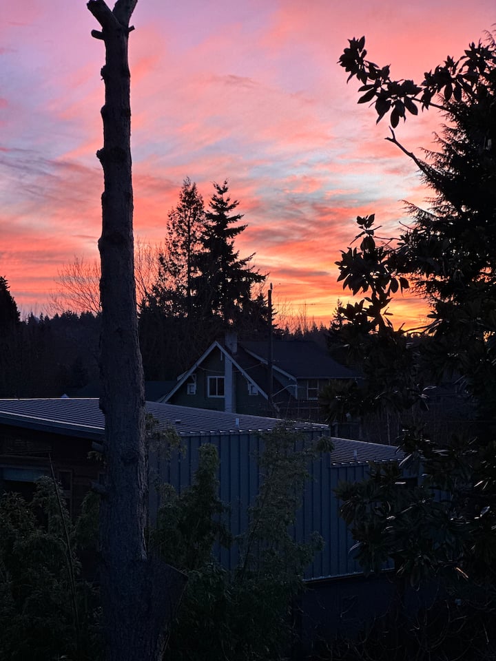Private Guest Suite In The Trees - Seattle, WA