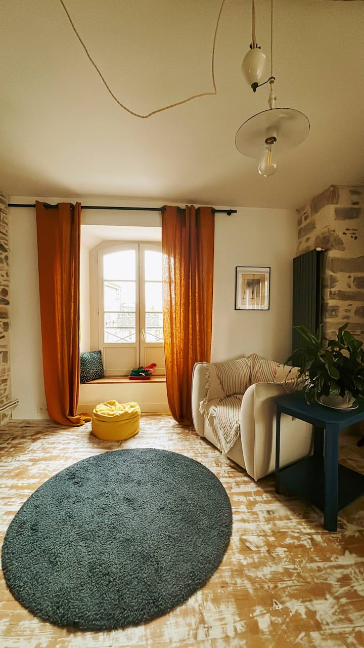 Appartement De Charme - Oloron-Sainte-Marie