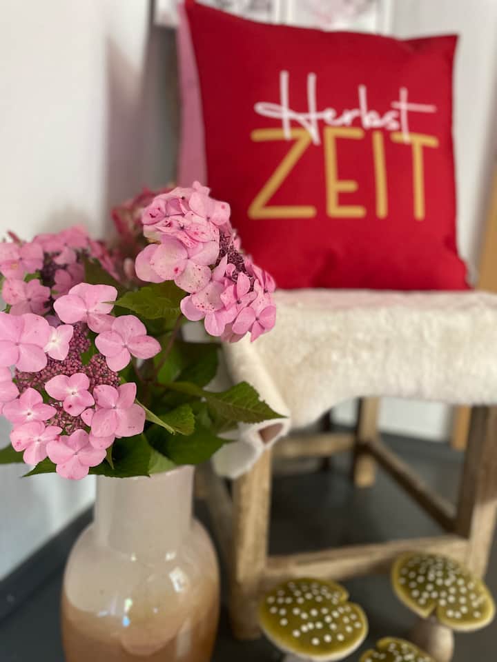 Willkommen Im Alten Forsthaus - Steibis