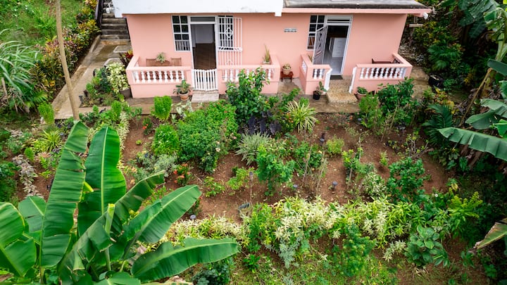 Dee’s Inn - Nestled In Nature - Apartment - Dominica