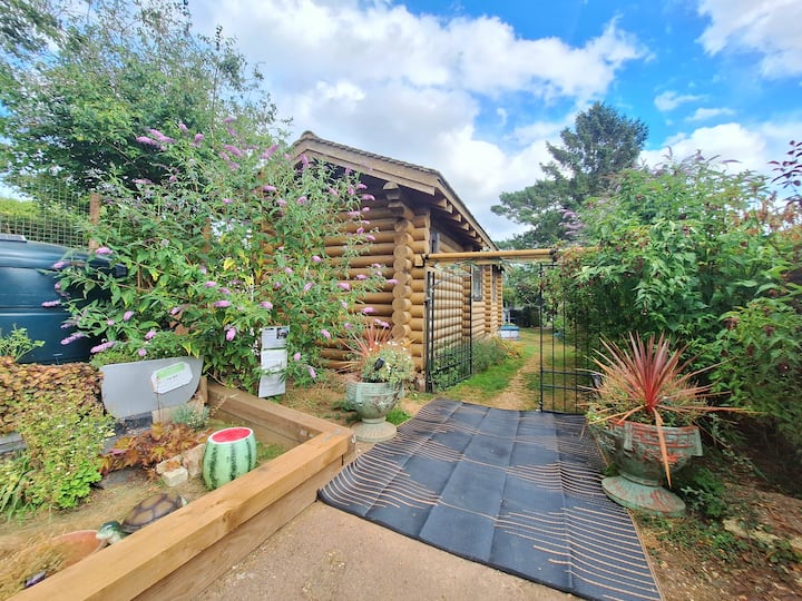 Family Stay: Hens•cats• Firepit •Marshmallow•pool - Kent