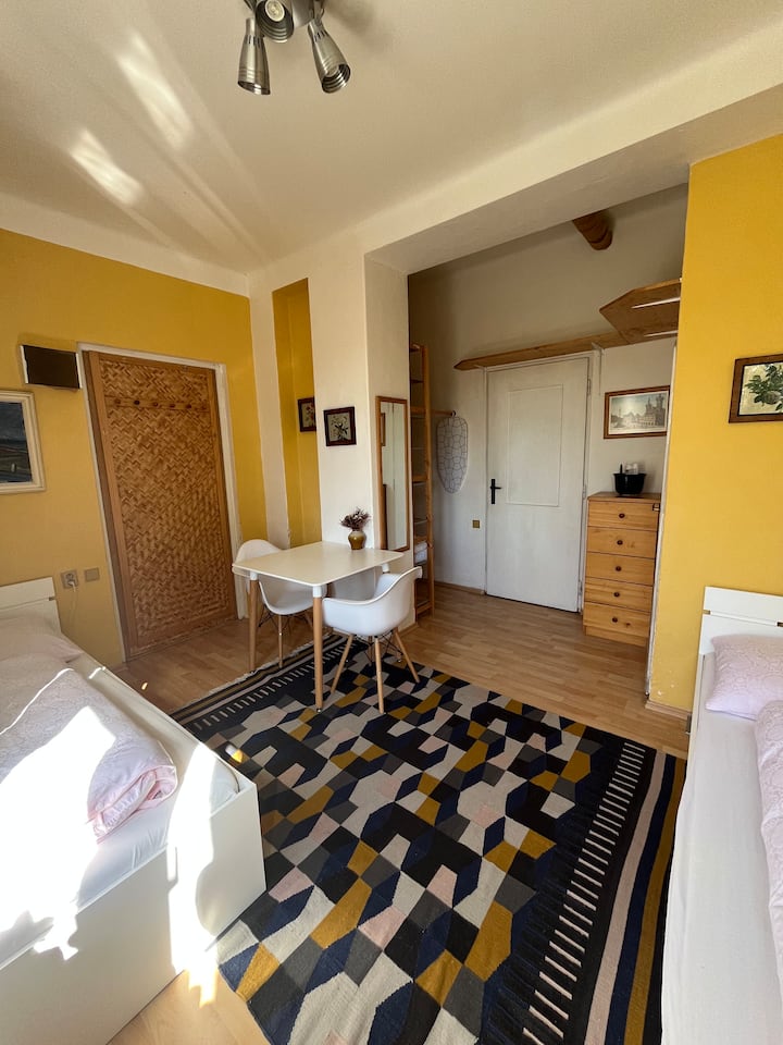 Central Prague And Free Parking - Praga