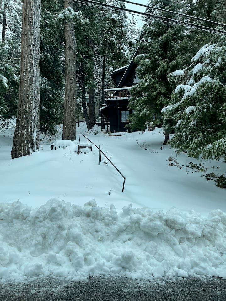 Cozy Forest Cabin- Private Lake Access, Dogs Ok! - San Bernardino, CA